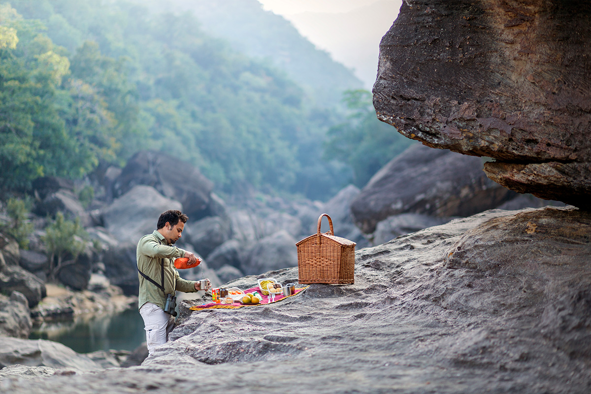 Gallery - Wild Panthera